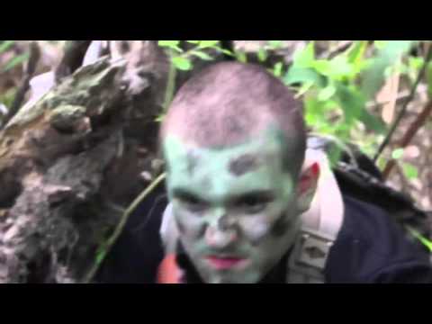 Cut The Cord by Shinedown Music Video remake