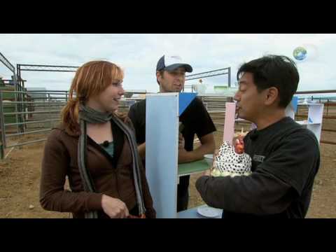 MythBusters - Bull in a China Shop | Top 25 Moments