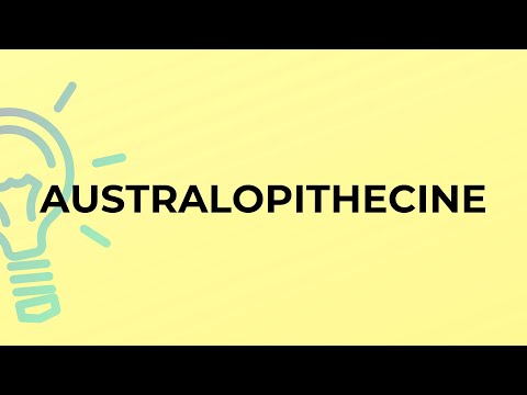 What is the meaning of the word AUSTRALOPITHECINE?