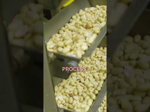 How millions of peanuts are produced per year #shorts | PoGo Portal