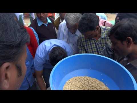 Rice Mill - rice mill machine Latest Price, Manufacturers & Suppliers