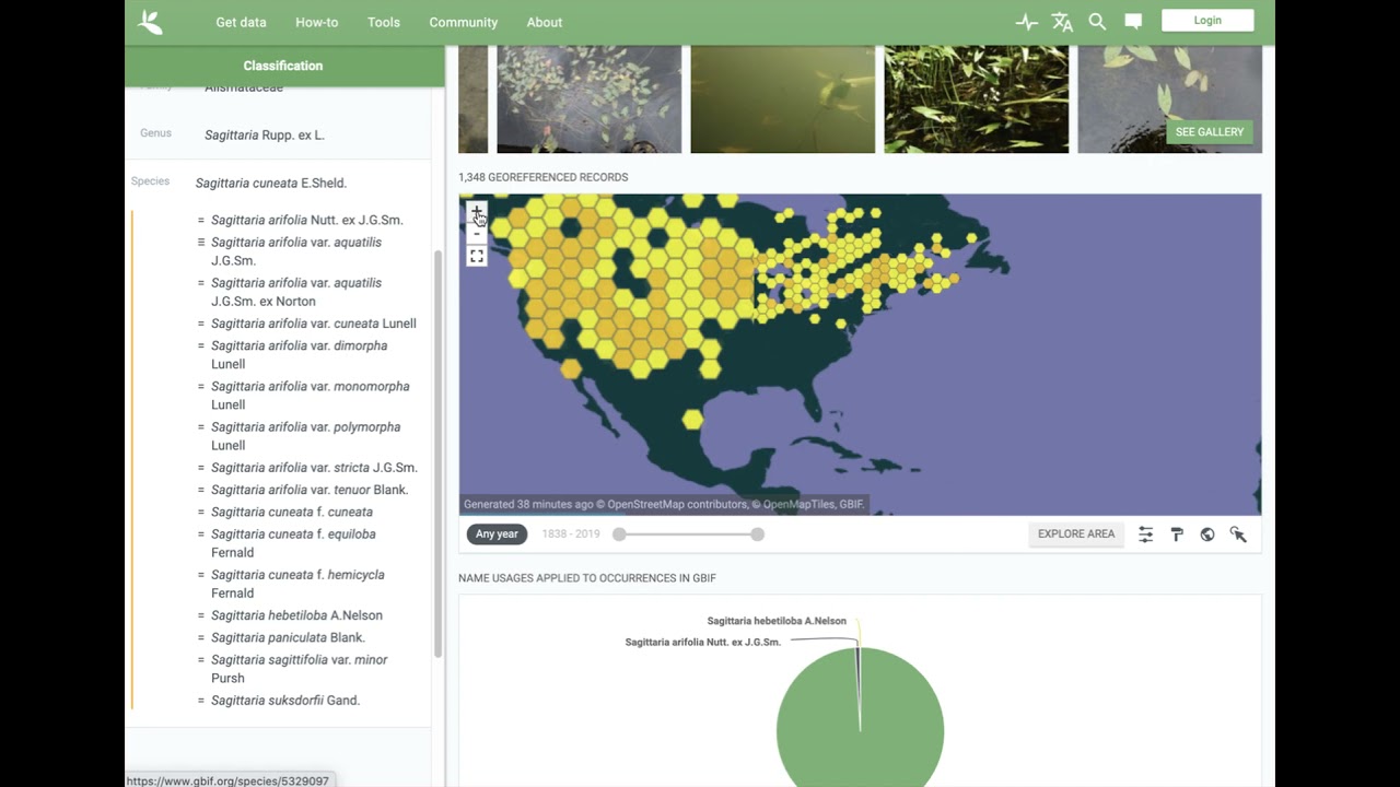 Global Biodiversity Information Facility (GBIF) walkthrough