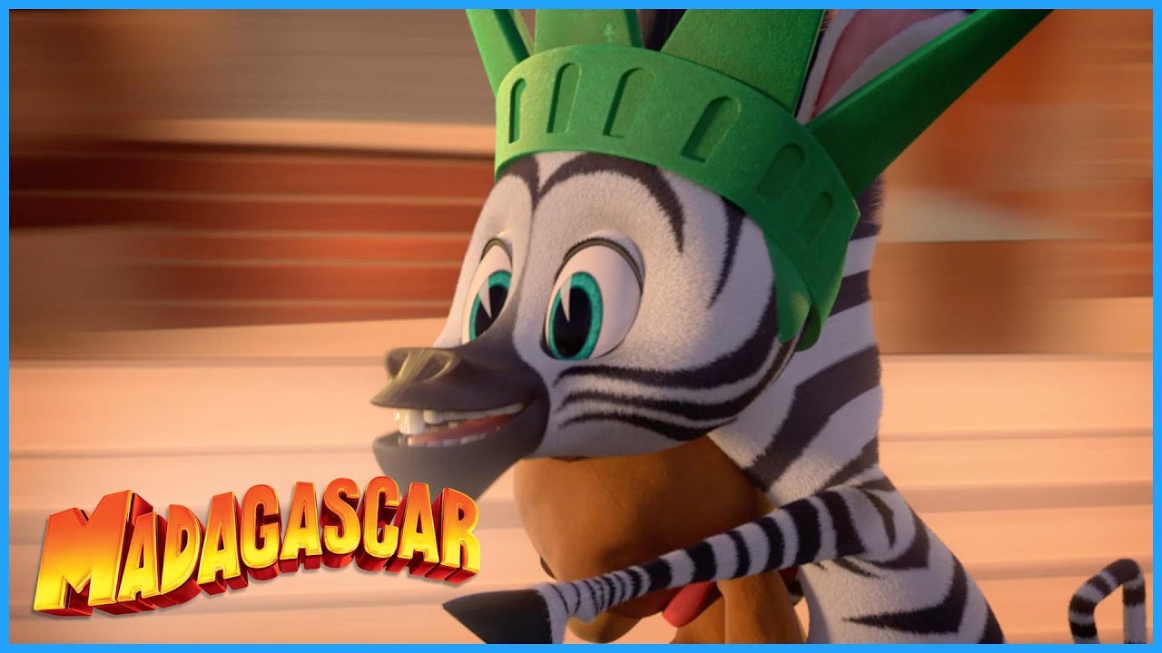 Teddy bear adventure | DreamWorks Madagascar