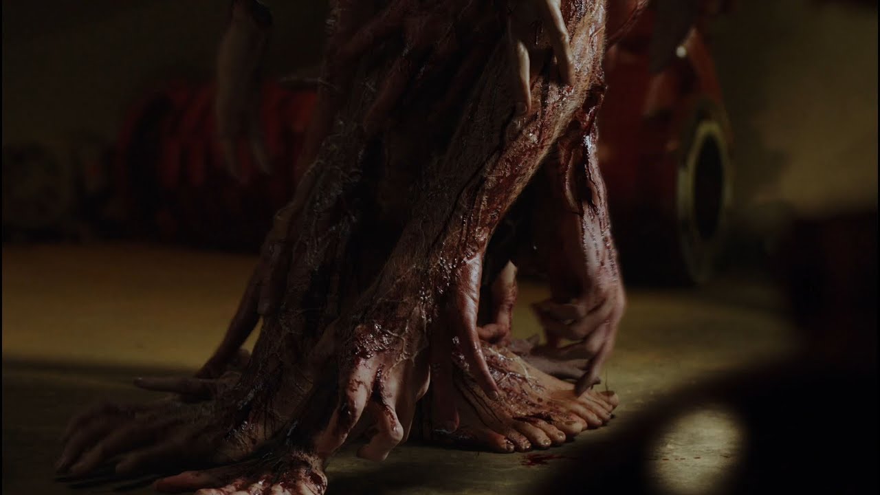 Zygote Teaser