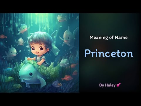 Meaning of boy name: Princeton - Name History, Origin and Popularity