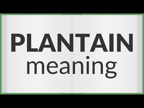Plantain | meaning of Plantain