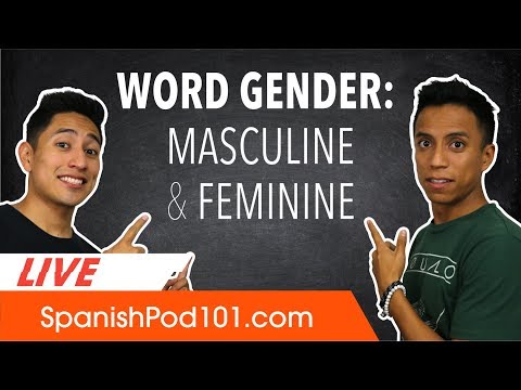 Masculine & Feminine: How to Master the Spanish Word Gender!