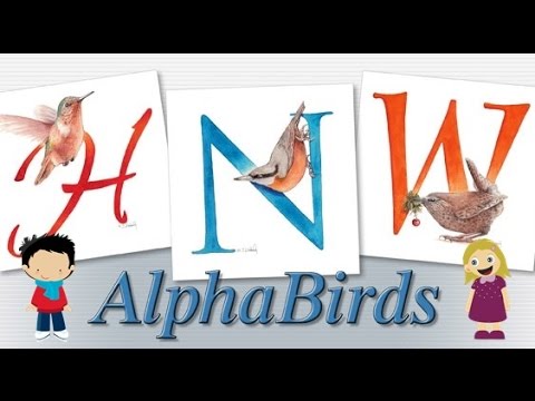 Alphabet Birds | Second Grade Word Games