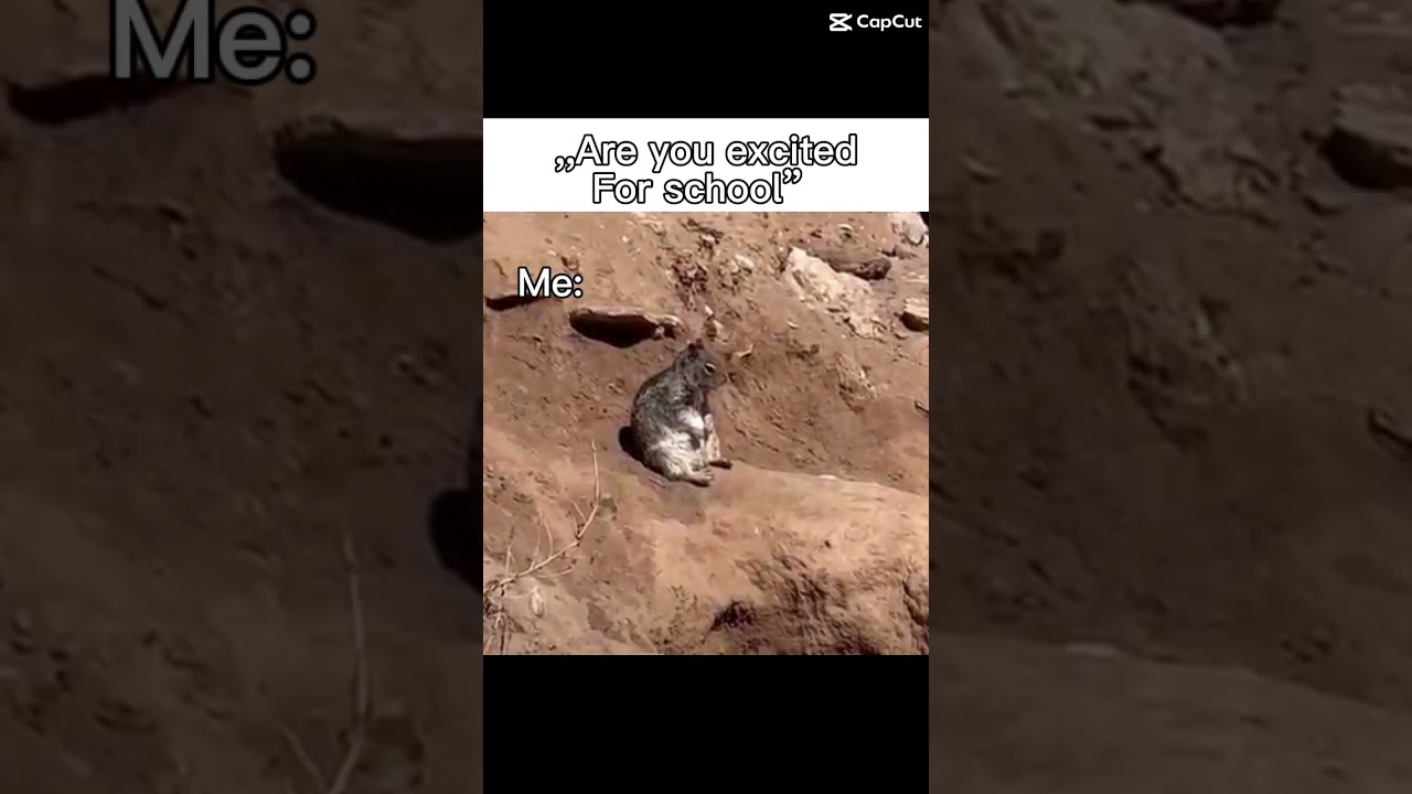 971D84E9 7E32 4F25 9005 203781836575 #edit