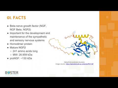 Learn NGF/NGF Beta in 3 minutes | Beta-nerve growth factor