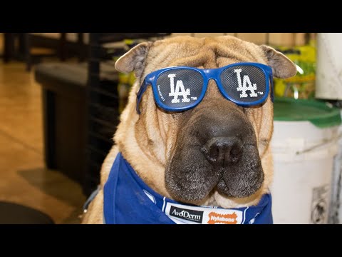 TKB After-Hours - "Closing Time" - Ep. 4