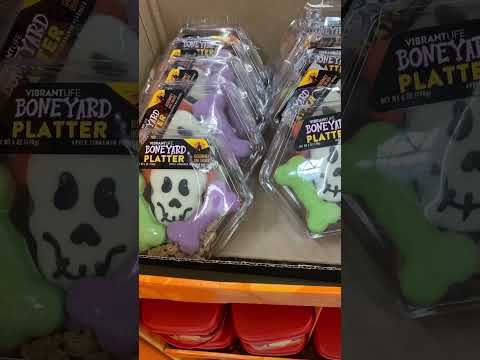 Did you see what Walmart has for dogs? #halloween #halloweenfordogs #halloween2022