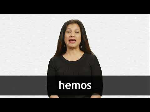 English Translation of “HEMOS” | Collins Spanish-English Dictionary
