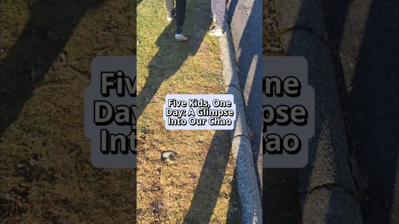Five Kids, One Day: A Glimpse Into Our Chao