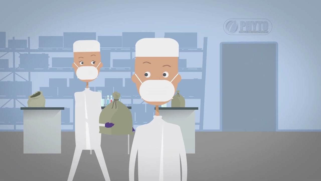 Animated Explainer by Guyman Studio - Phyto | 2D Explainer Video | Guyman.com