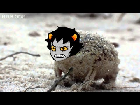Steam Community :: Video :: Angry Squeaking Karkat