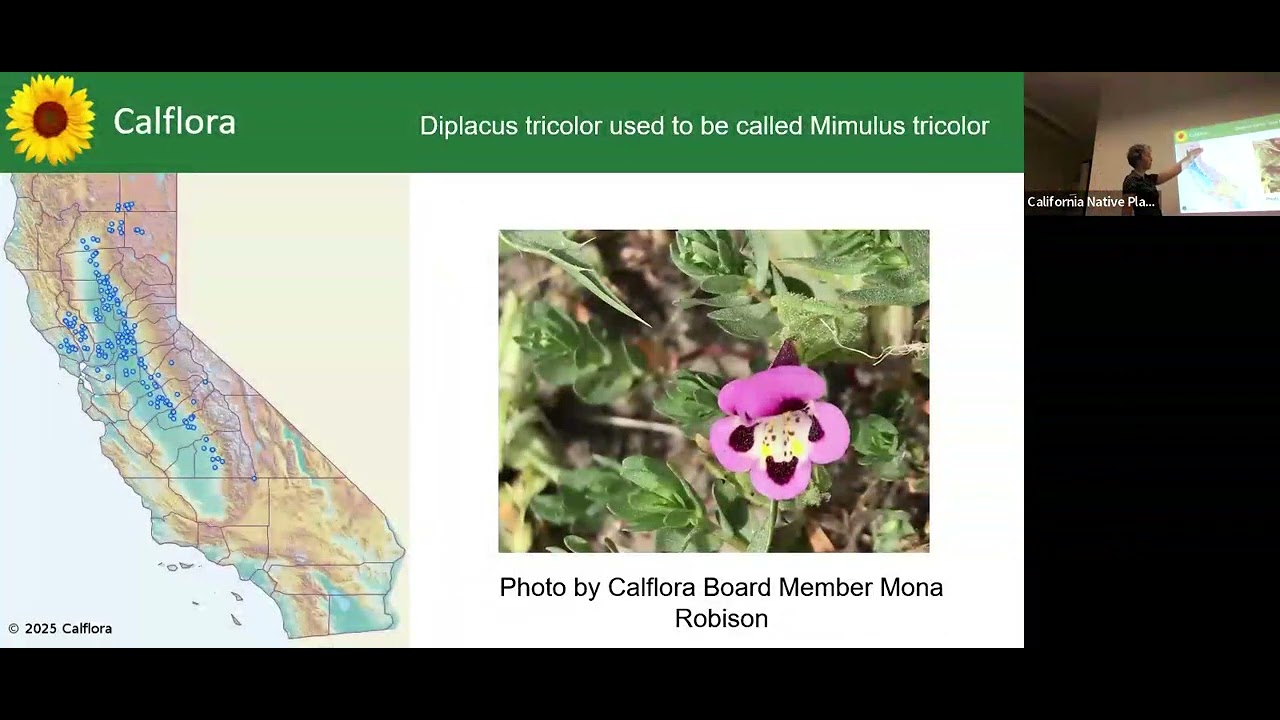 New Calflora Tools for Plants for Garden and Wild with Cynthia Powell