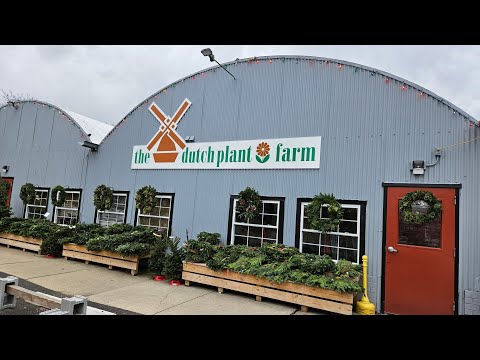 Plant Shopping | Rare and Common Houseplants | 12/1/2023 #plants #plantshopping