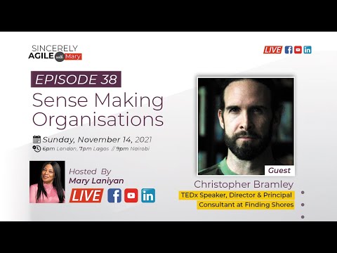 Sense-making Organisations