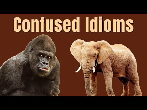 Elephant in the Room, White Elephant, & 800-Pound Gorilla: Confused Idioms
