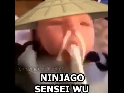 Ninjago Sensei Wu