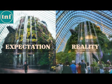 Singapore Gardens By The Bay Travel Guide: What You Need To Know (2023 Update)