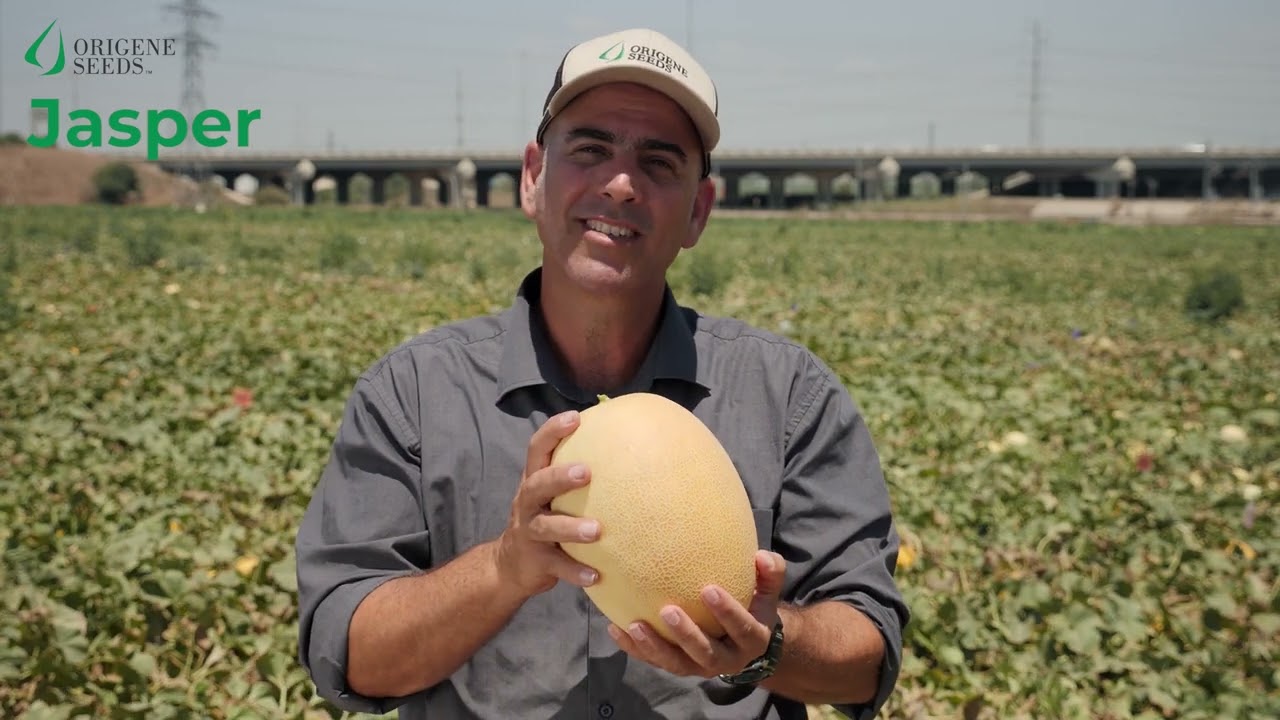 Melon Jasper 2022