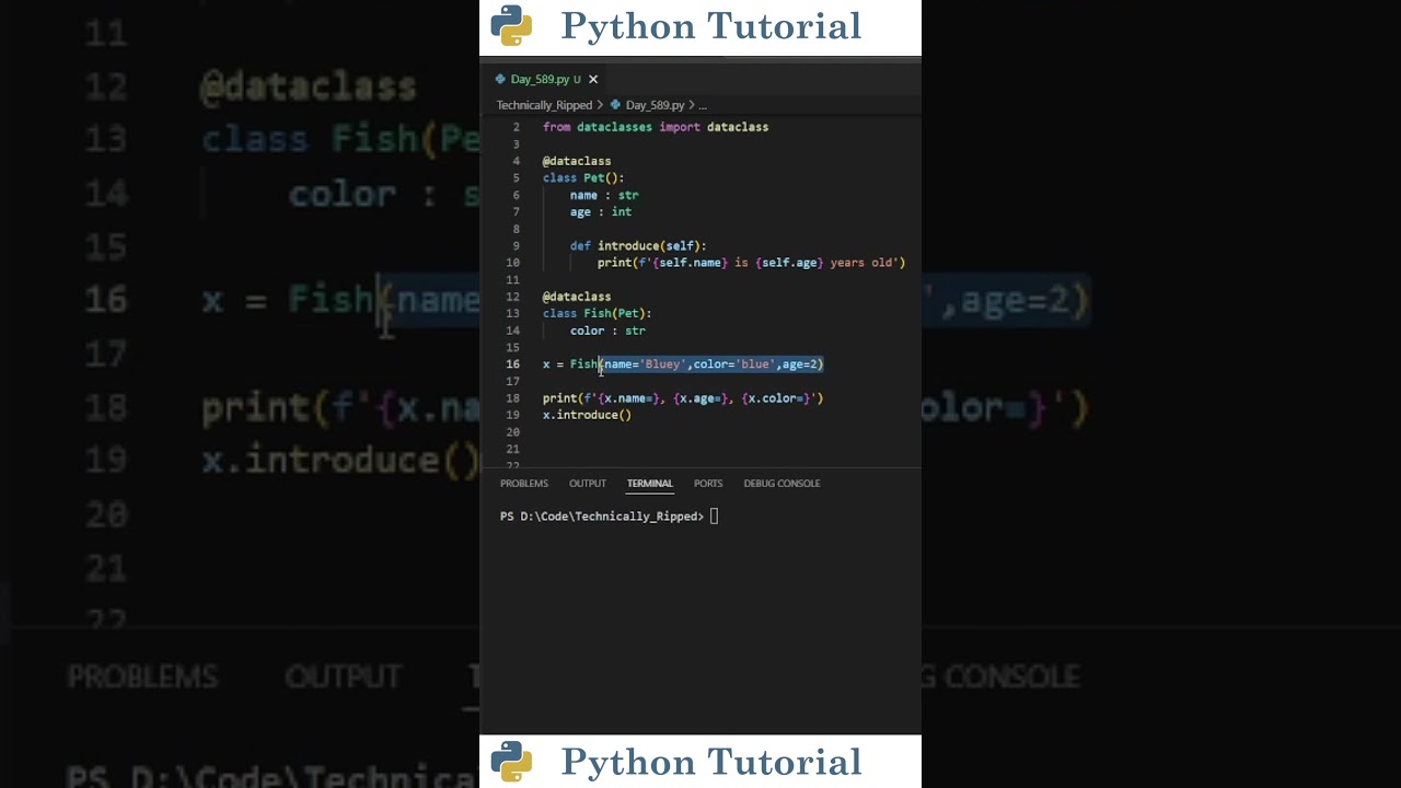 Dataclass Inheritance In Python | Python Tutorial