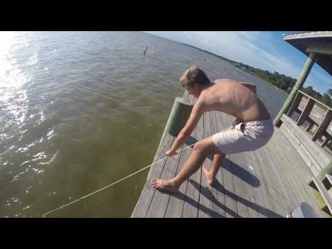 Cast Net Fishing CATCH N COOK!