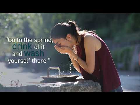 The Baths at the Sanctuary of Our Lady of Lourdes | Lourdes Tourist Office