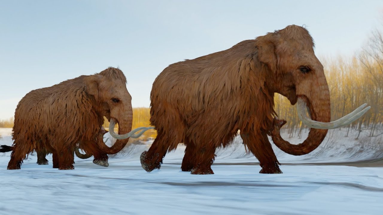 Did You Know: The Woolly Mammoth | Encyclopaedia Britannica