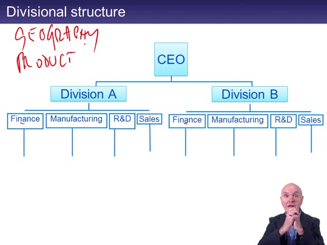 Understanding Organizational Structures: A Comprehensive Guide | Galaxy
