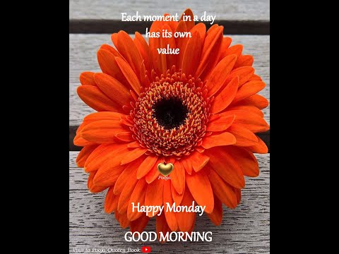 MONDAY QUOTES /GOOD MORNING IMAGES /WHATSAPP STATUS/WHATSAPP DP PHOTOS/BEAUTIFUL IMAGES