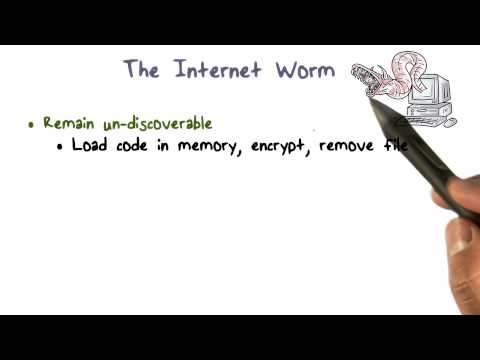 The Internet Worm