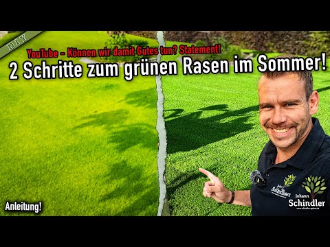 More #LAWN CARE with little effort and great effect - [Step by step]