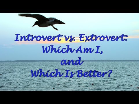 Introvert vs. Extrovert: Which Am I, and Which Is Better?