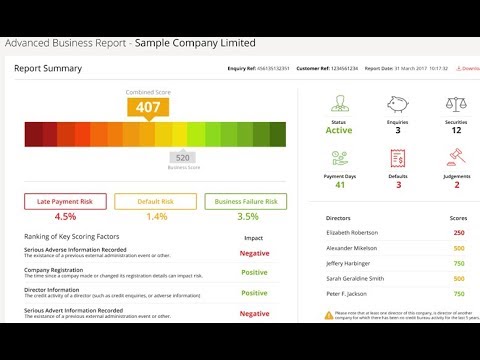 Equifax Business Reports