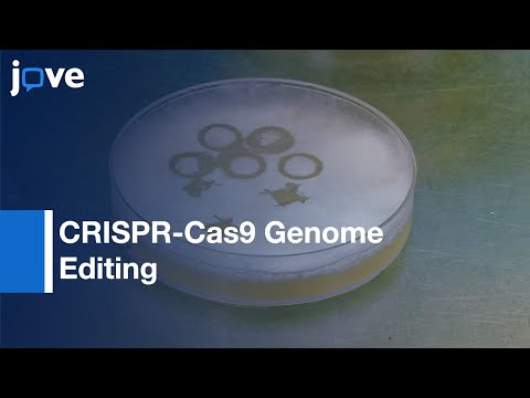 CRISPR-Cas9 Genome Editing in the Filamentous Ascomycete | Protocol Preview