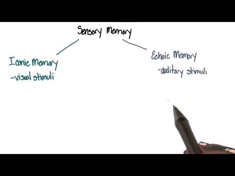 Sensory memory - Intro to Psychology