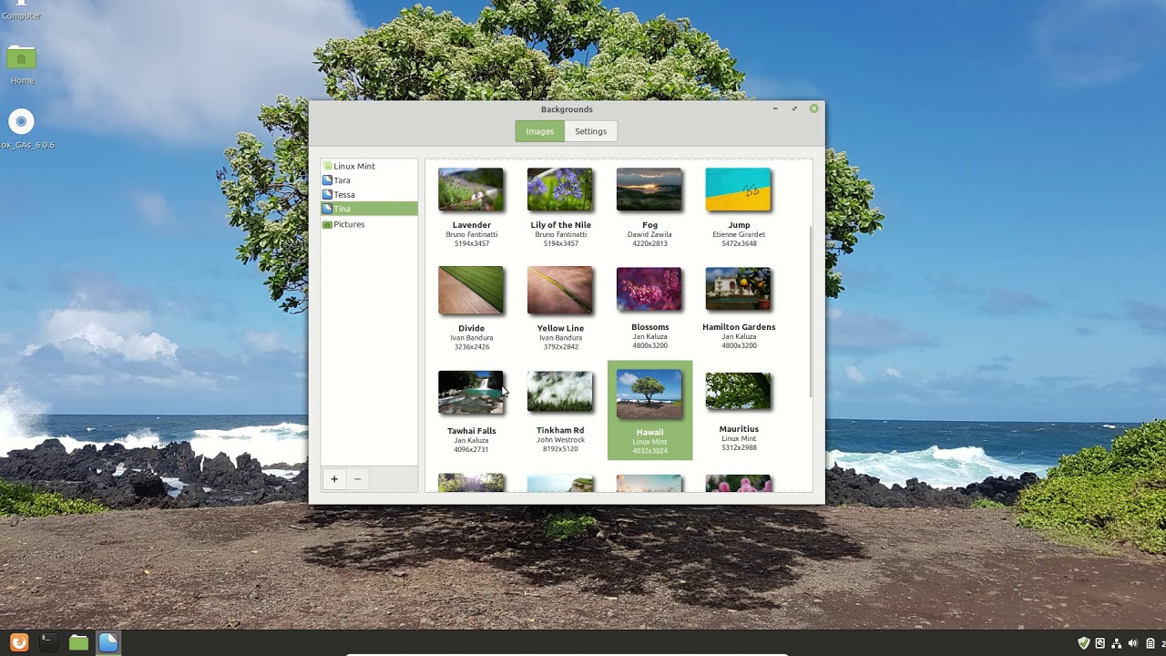 The Default Linux Mint Wallpaper