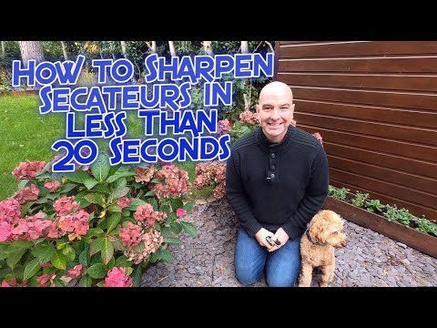 How to Sharpen Secateurs in Less Than 20 seconds
