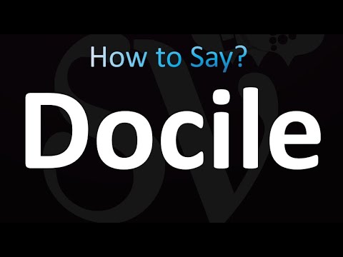 How to Pronounce Docile (correctly!)