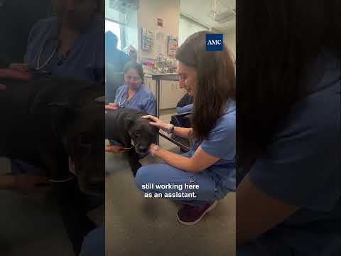 Becoming a #LicensedVeterinaryTechnician at AMC