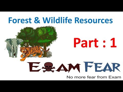 Flora and Fauna | Class 10 Social Science (SST) Geography | Forest and Wildlife