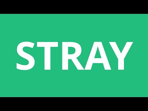 How To Pronounce Stray - Pronunciation Academy
