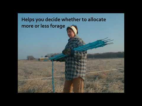 Practical planning for successful winter grazing-Jim Gerrish