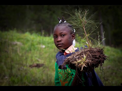 UNCCD Executive Secretary message on Desertification and Drought Day 2025