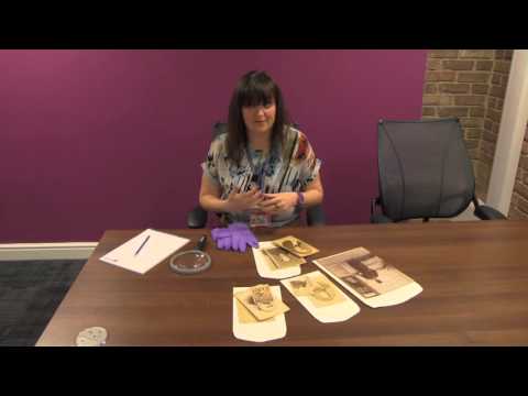 SpecColl: Handling documents
