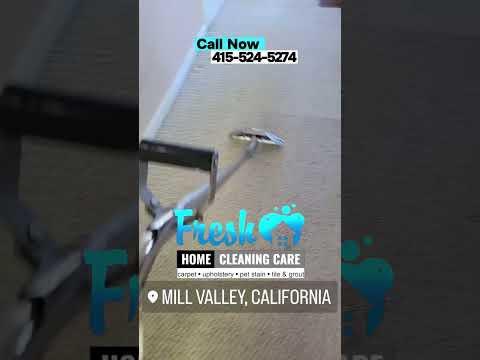 ๐๏ธ Petaluma's Premier Carpet Cleaning: Say Goodbye to Stains & Odors! ๐