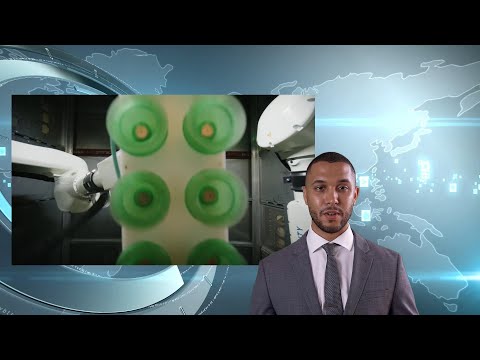 Revolutionizing Logistics: DexR - The AI Robotic Loader by Dexterity A I & FedEx